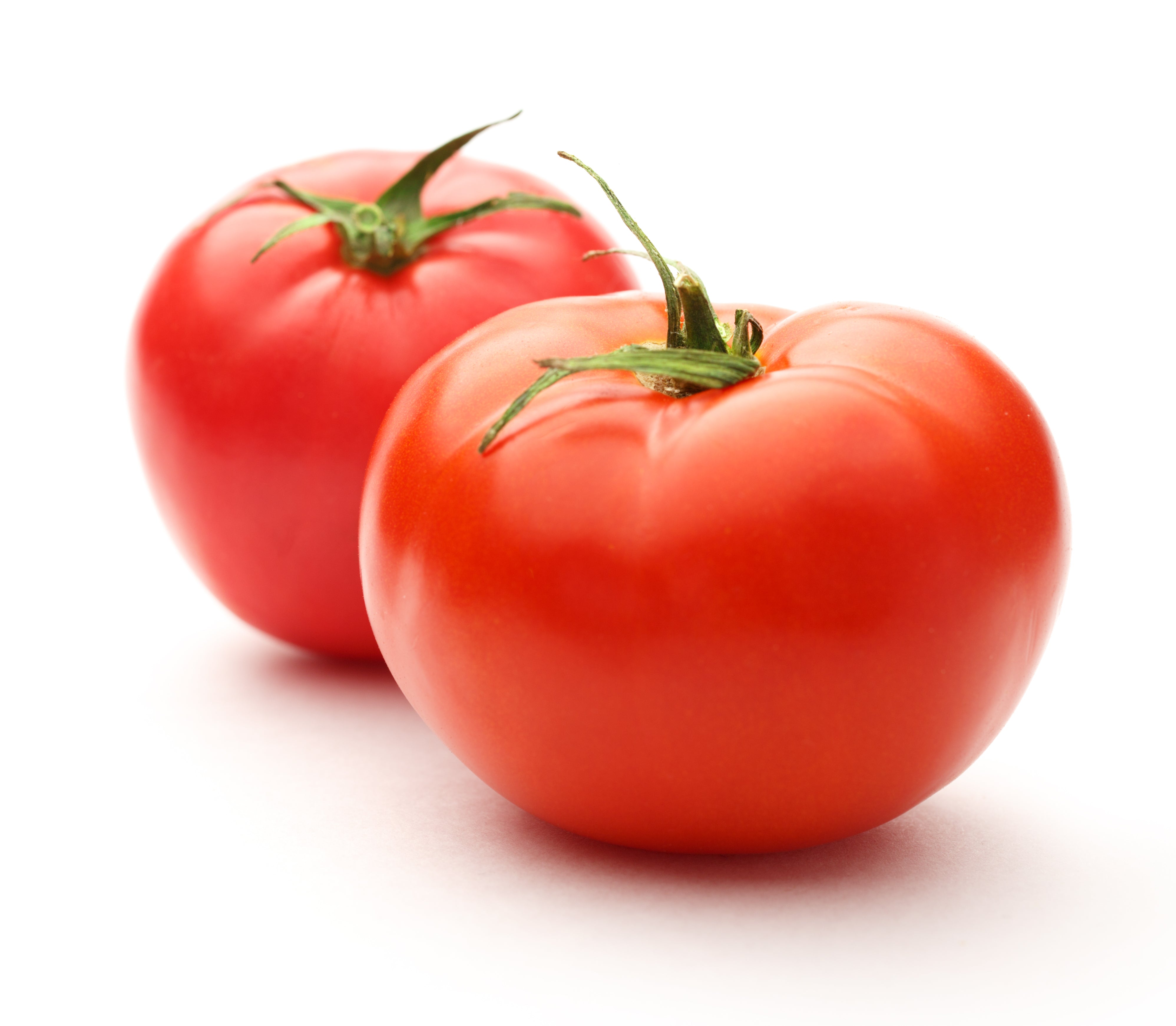 Round Tomatoes – Green Lane